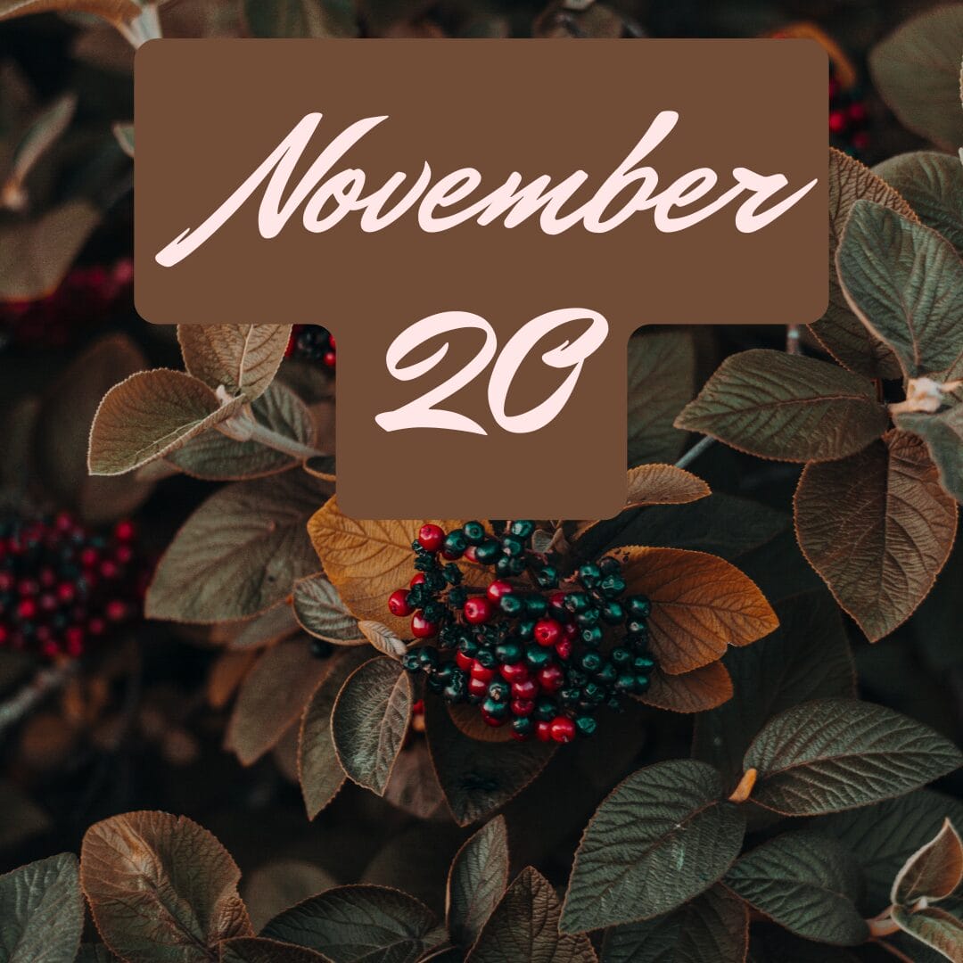 Weekly Update 11.20.2025 - Heritage AcademyLaveen